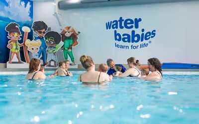 Swimming pool, Water Treatment and Aquaculture products - Waterco